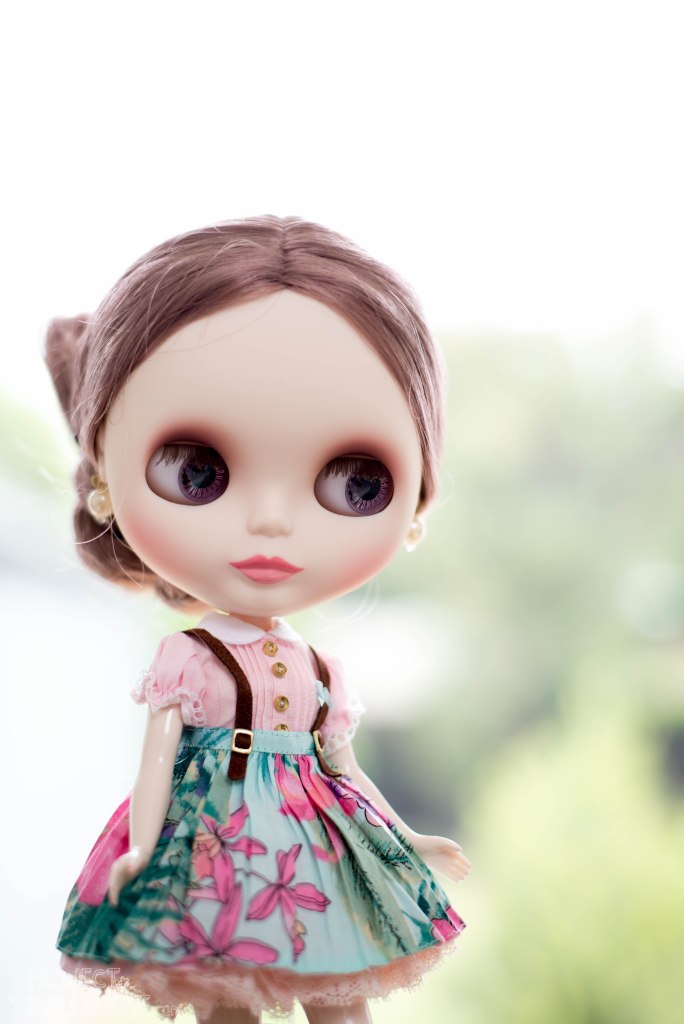 Learning to Photograph Dolls Pt.1 – Project Doll House